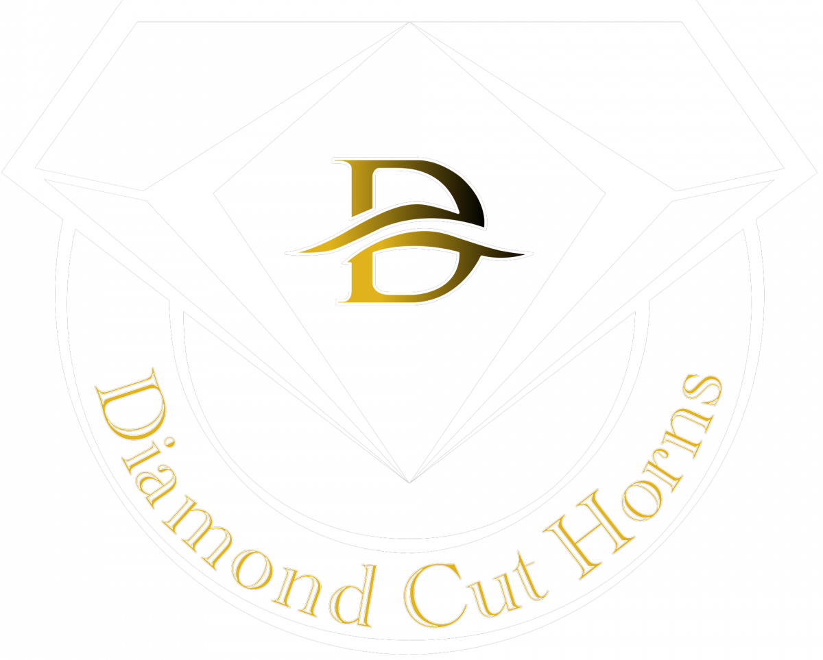 Diamond Cut Horns
